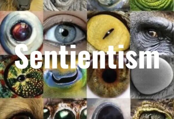 “Animal Liberation Now!” – Peter Singer – Sentientism – Bioethics Education