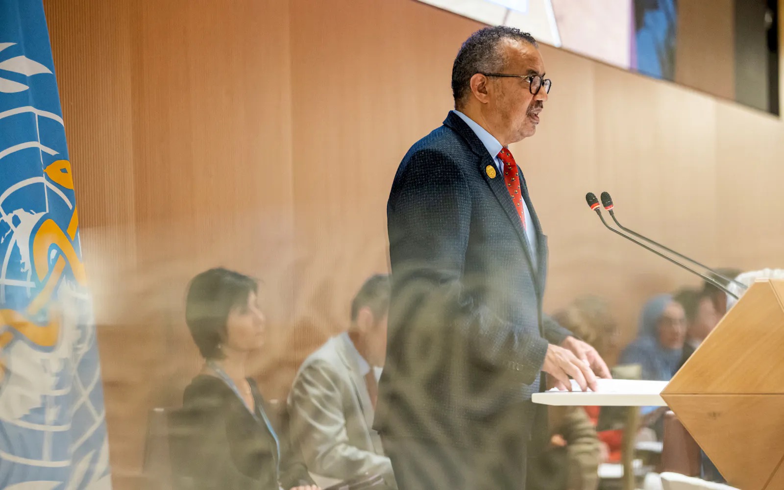 The 77th world health assembly: A decisive moment for the future of ...